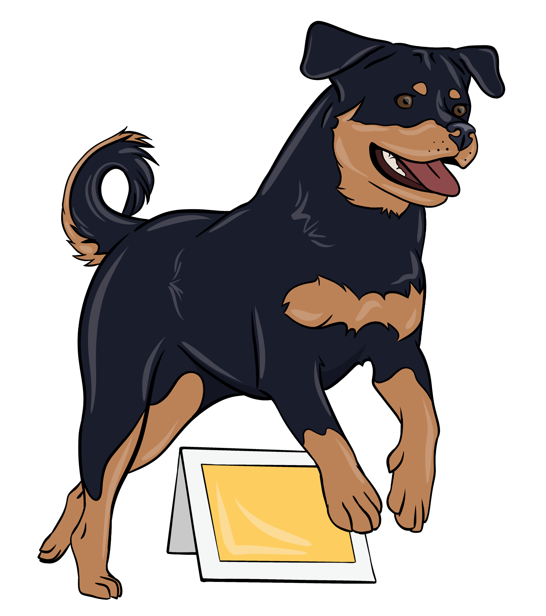 Galerie und Blog - Life with Pets GmbH - Hundezentrum Aschaffenburg